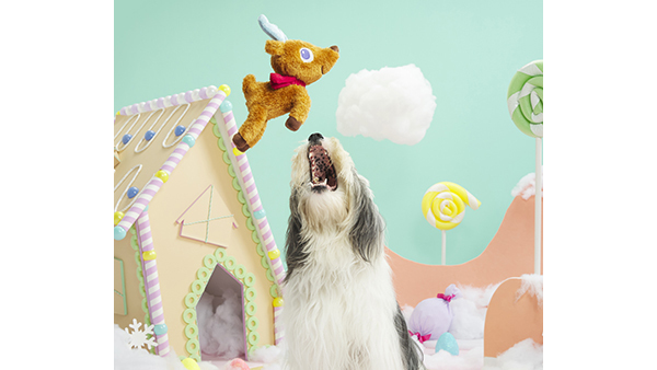 Pet Palette Distribution推出2023年万圣节和假日预订活动-宠物行业数据库